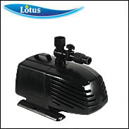 Lotus Spares Parts - Water Gardening Direct