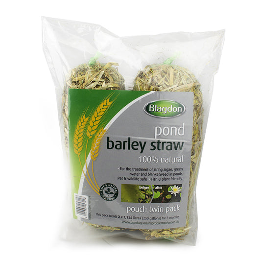 Blagdon - Barley Straw Bales | Water Gardening Direct
